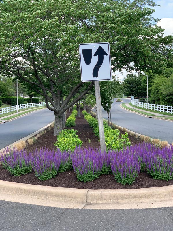 median-bed | Perrywood Community Association
